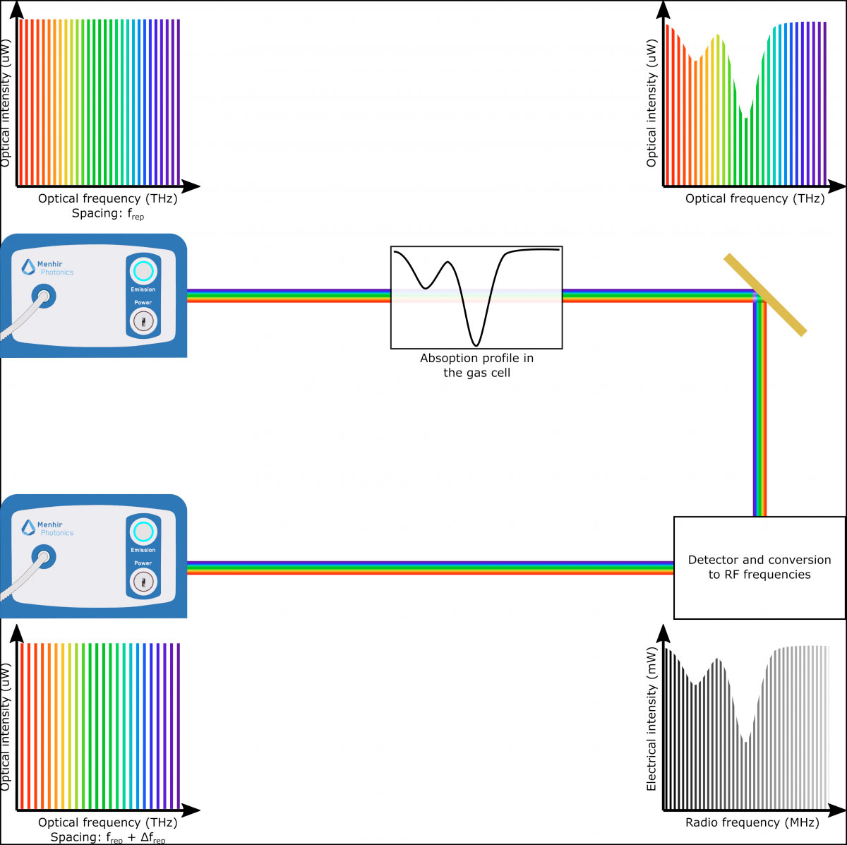 1 Ghz Dual Comb Spectrometer For Fast And Broadband Measurements